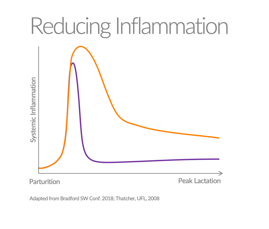 Connecting the Dots: Inflammation, Body Condition Loss and Reproduction ...