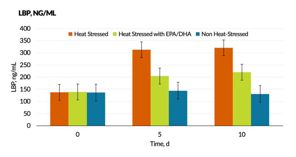 Mitigating Heat Stress Effects with EPA/DHA Omega-3 – Virtus Nutrition